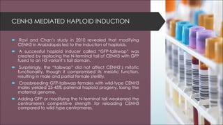 CenH3: in haploid induction technology | PDF