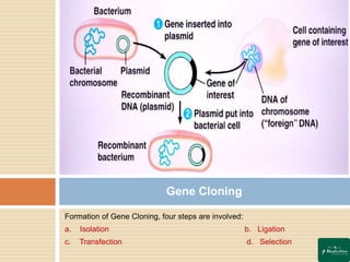 Plant Biotechnology: Introduction, Scope and Application | PPTX