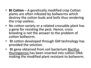 Plant Biotechnology | PPTX | Biotech and Biomedical Industry | Industries