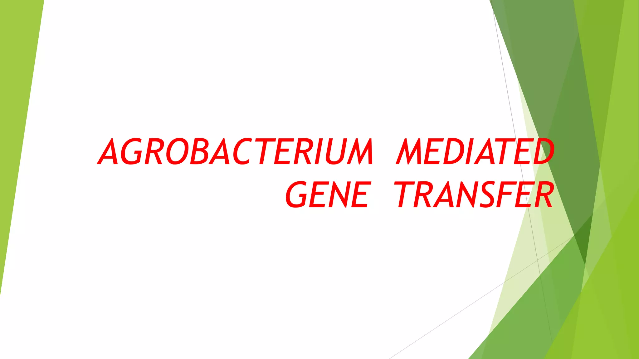 Agrobacterium mediated gene transfer | PPT
