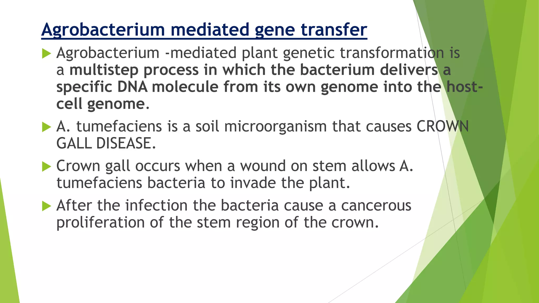 Agrobacterium mediated gene transfer | PPT