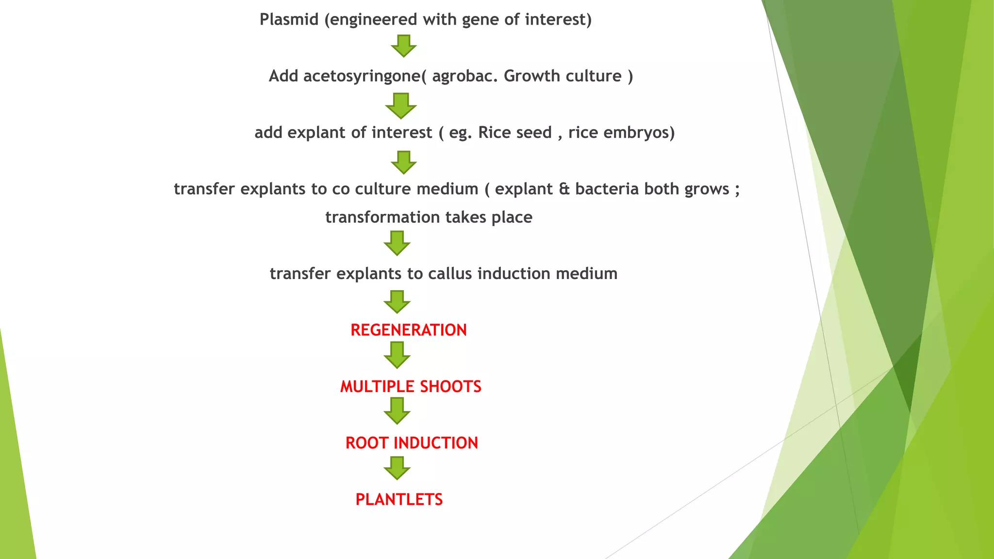 Agrobacterium mediated gene transfer | PPT