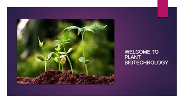 Plant biotechnology | PPT