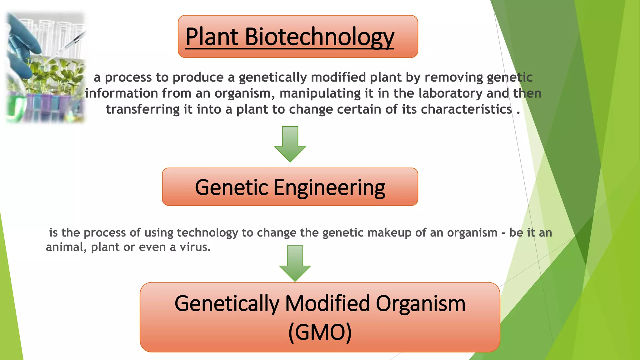 Plant biotechnology and its impacts | PPTX