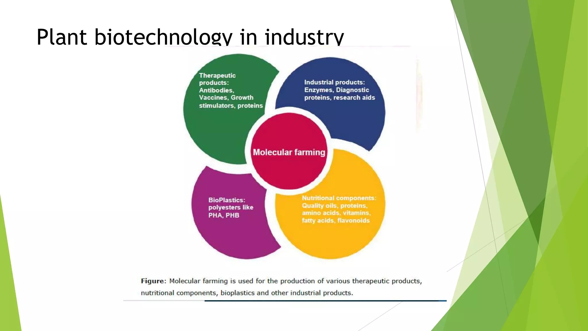 Plant biotechnology and its impacts | PPTX