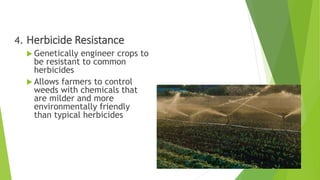 Plant biotechnology and its impacts | PPTX