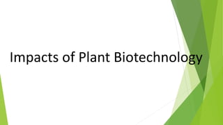 Plant biotechnology and its impacts | PPTX