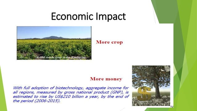 Plant biotechnology and its impacts | PPTX