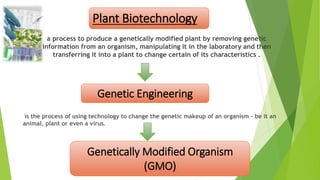 Plant biotechnology and its impacts | PPTX