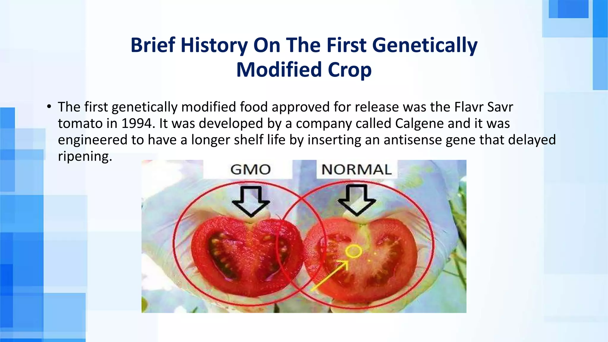 plantbiotechnologydrew-190124090457.pdf