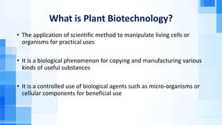 plant biotechnology Lecture note ppt.pptx