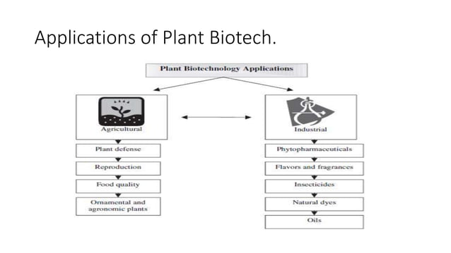 plant biotechnology Lecture note ppt.pptx | Biotech and Biomedical ...