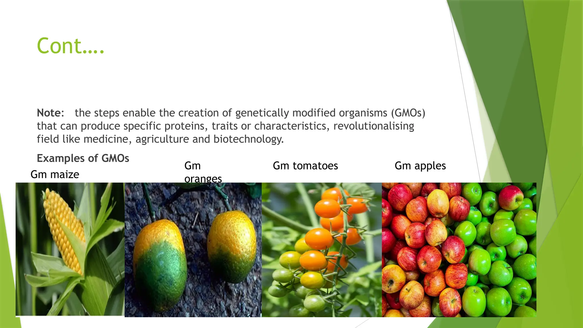 PLANT BIOTECHNOLOGY PRESENTATION WORK.pptx