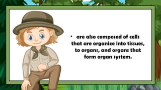 Hierarchy of Organization in Plant Body Science 7.pptx