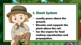 Hierarchy of Organization in Plant Body Science 7.pptx