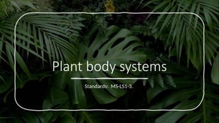 Plant body systems.pptxjjjjjjjjjjnnnnnnnn | PPTX | Gardening | Home ...