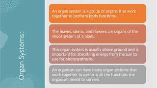 Plant body systems.pptxjjjjjjjjjjnnnnnnnn | PPTX