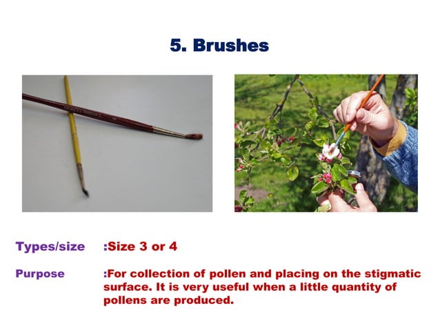 Plant breeder's kit | PDF | Gardening | Home & Garden