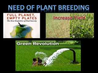 Plant breeding | PPT