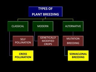 Plant breeding | PPT