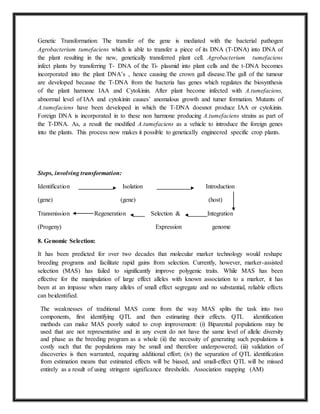 Plant breeding | PDF