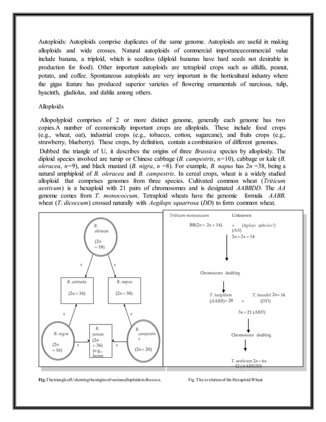 Plant breeding | PDF