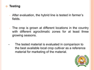 Plant Breeding | PPTX