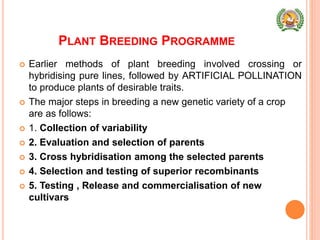 Plant Breeding | PPTX