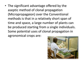 plant breeding.pptx