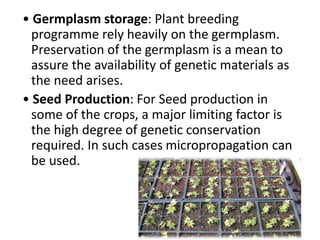 plant breeding.pptx