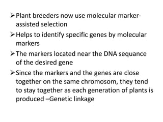 plant breeding.pptx