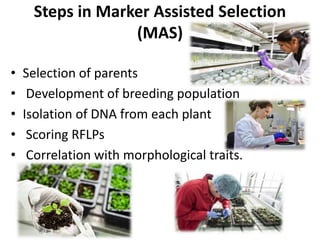 plant breeding.pptx