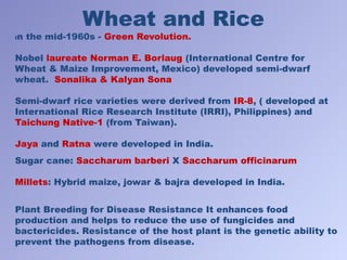 Stratergies for Enhancement in food productionPlant breeding.pptx