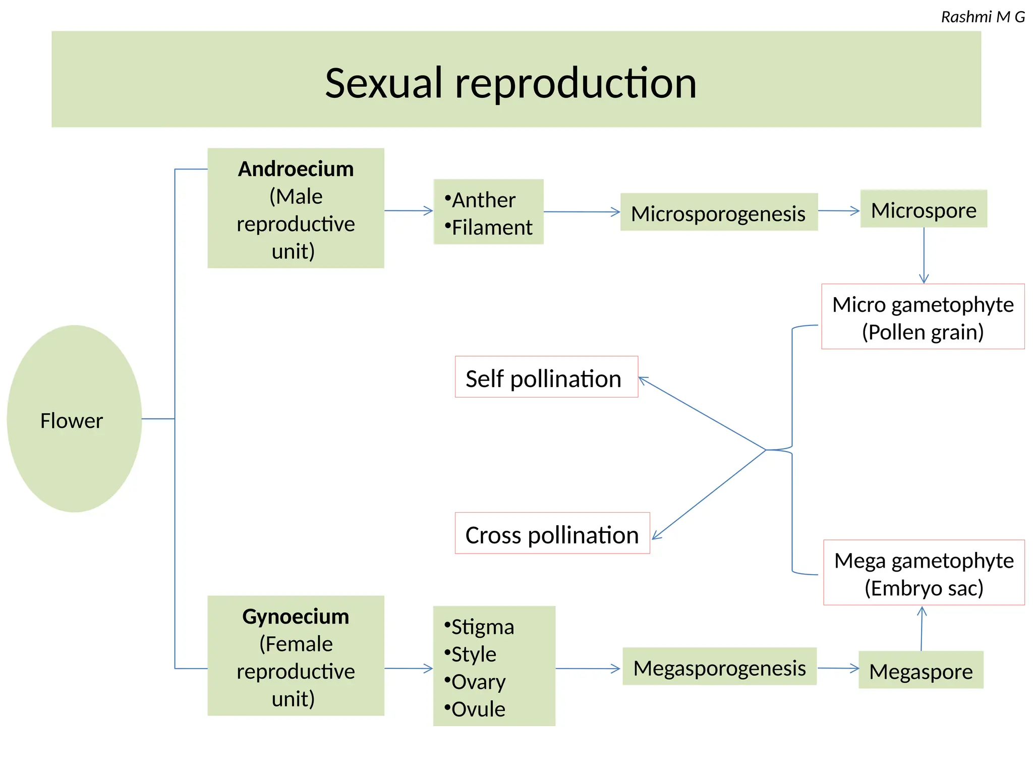 Plant breeding Part-1 (Introduction, objectives, activities ...
