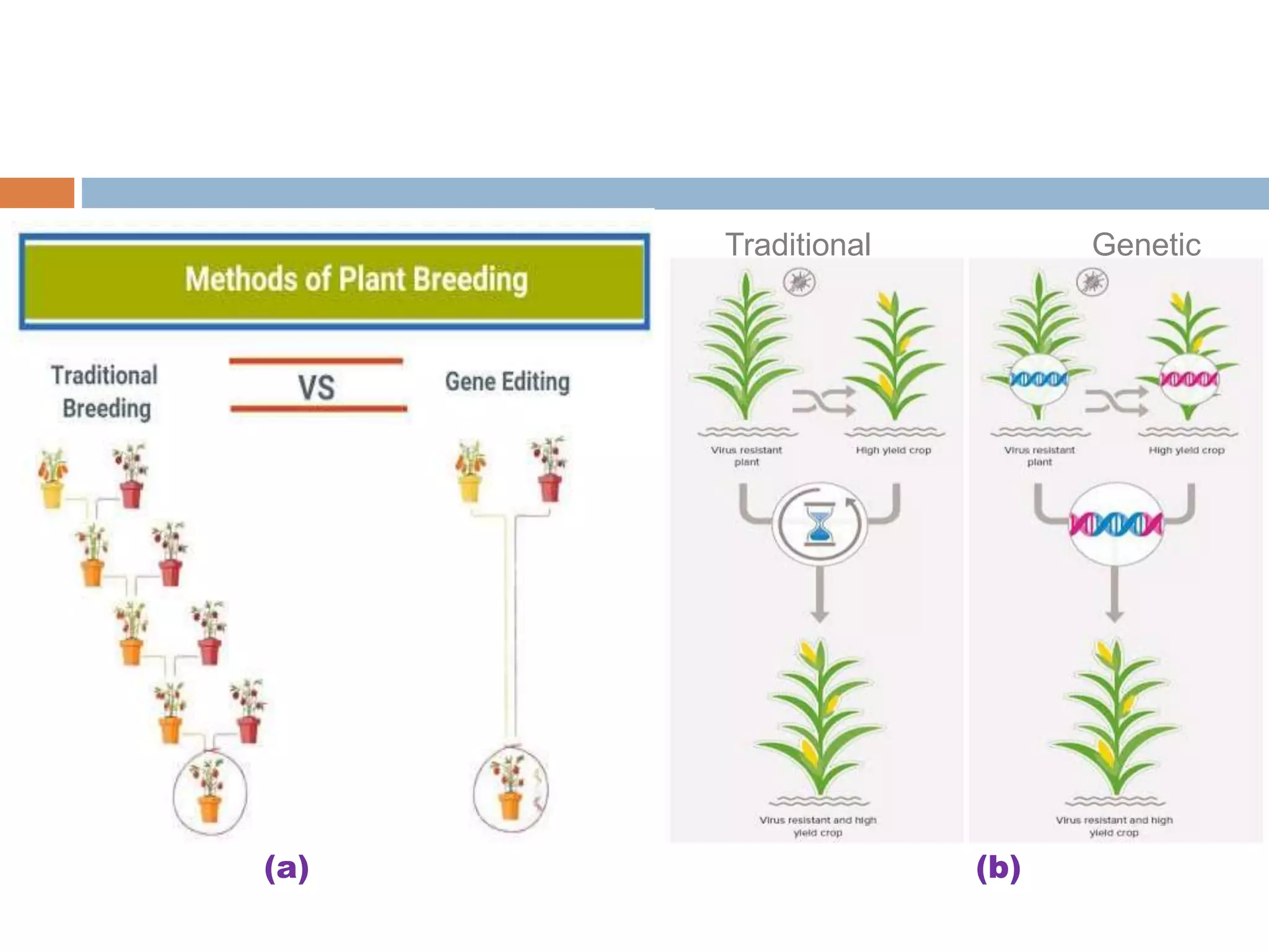 Plant breeding Intoduction and methods | PPT