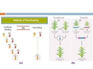 Plant breeding Intoduction and methods | PPT