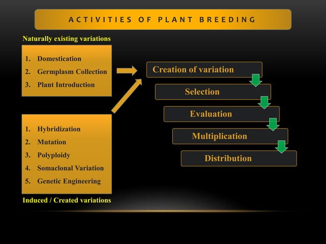 Plant breeding - History, Objectives & Activities | PPTX | Gardening ...