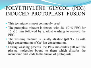 plant breeding1.pptx
