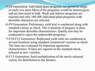 plant breeding1.pptx