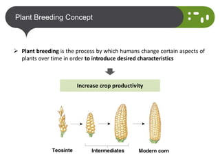 Principles of Plant breeding and biotechnology.pptx