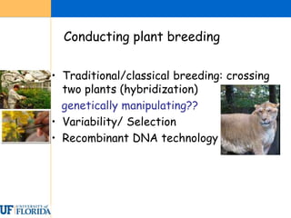 Plant Breeding and applied Genetics . ppt | PPT
