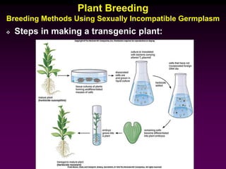 Plant Breeding and Propagation (1).ppt