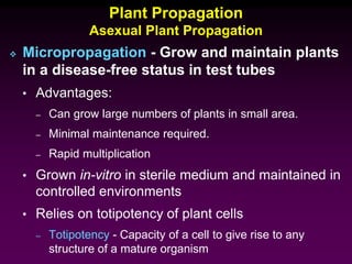 Plant Breeding and Propagation (1).ppt