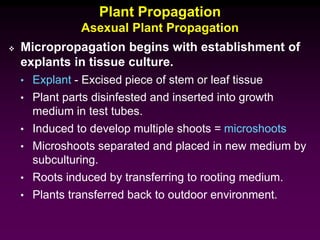 Plant Breeding and Propagation (1).ppt