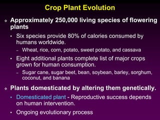Plant Breeding and Propagation (1).ppt