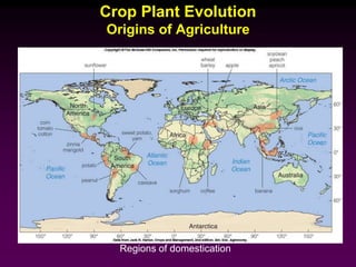 Plant Breeding and Propagation (1).ppt