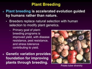 Plant Breeding and Propagation (1).ppt