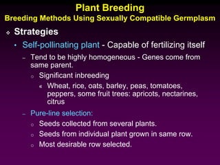 Plant Breeding and Propagation (1).ppt
