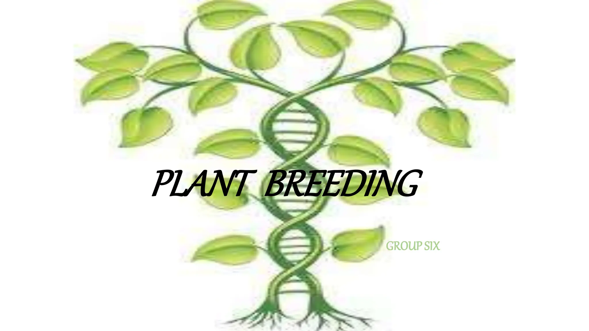 plant breeding (group 6).pptx for Ohawu Agricultural College, diploma 3 ...