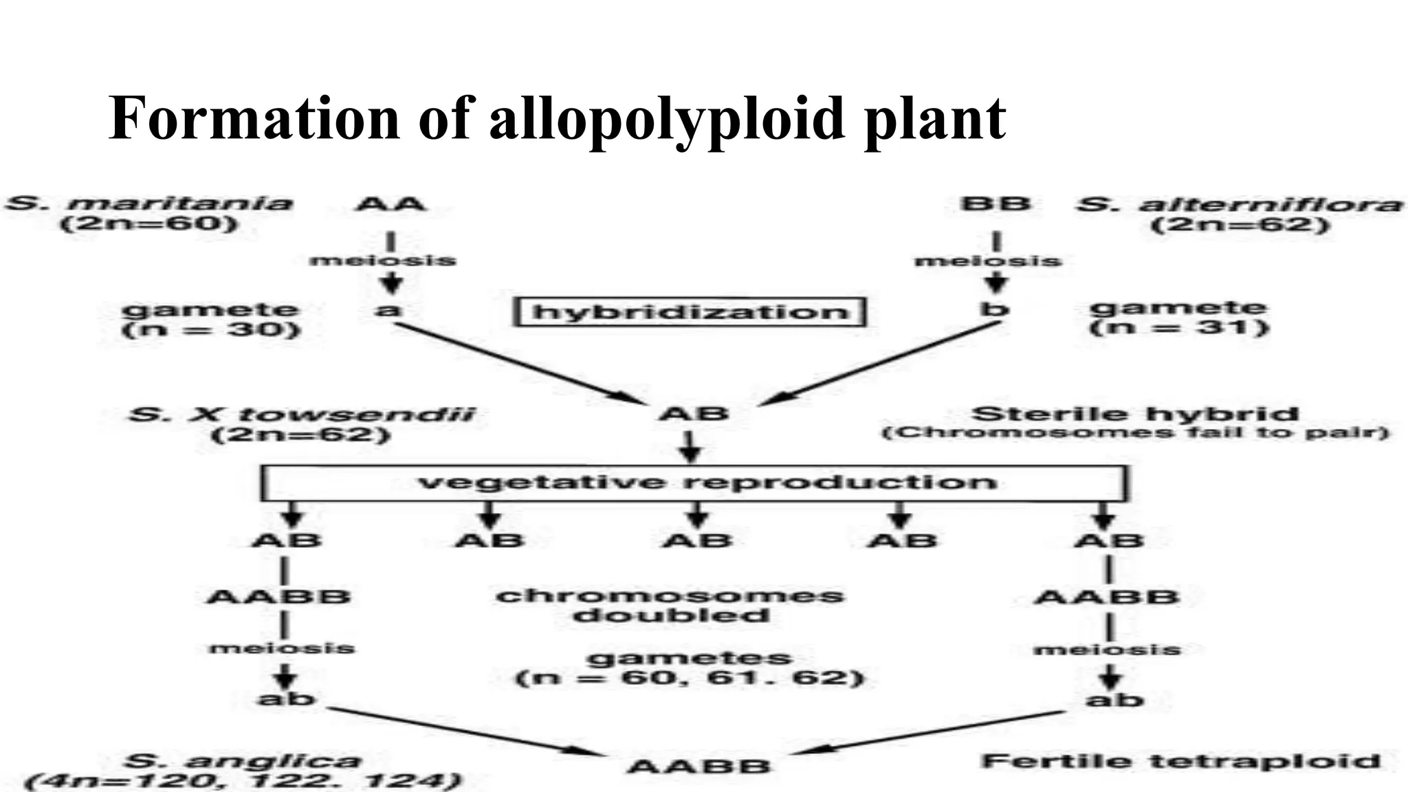 plant breeding (group 6).pptx for Ohawu Agricultural College, diploma 3 ...